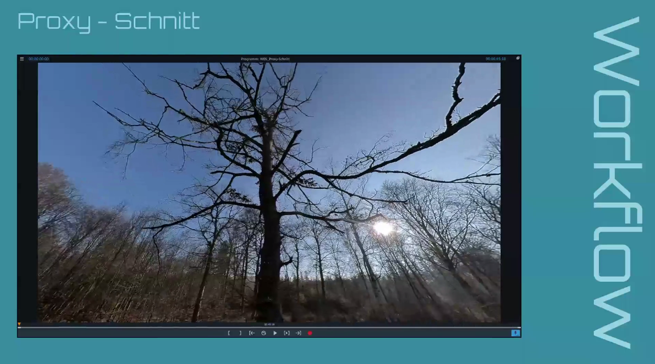 MAGIX Video deluxe/MAGIX Pro X - Volume 11