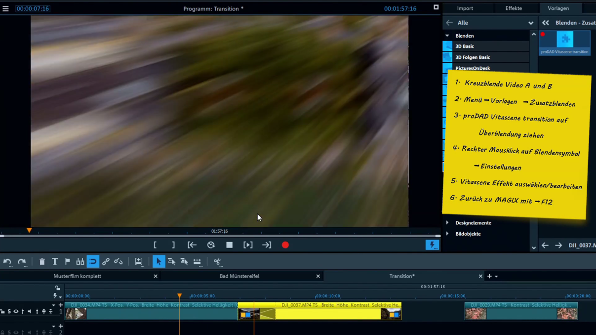 Umfassendes Videotraining für proDAD VitaScene V5